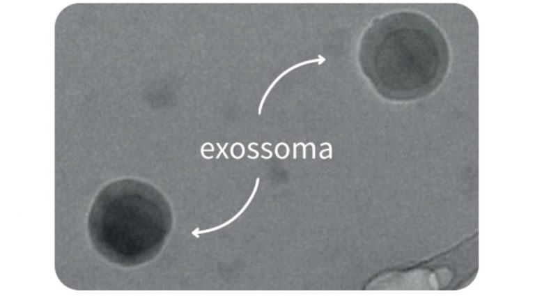EXOSOME - Manipura Farmácia de Manipulação